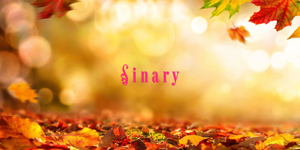 Sinary：環境革命のシナリー：シナリー株式会社