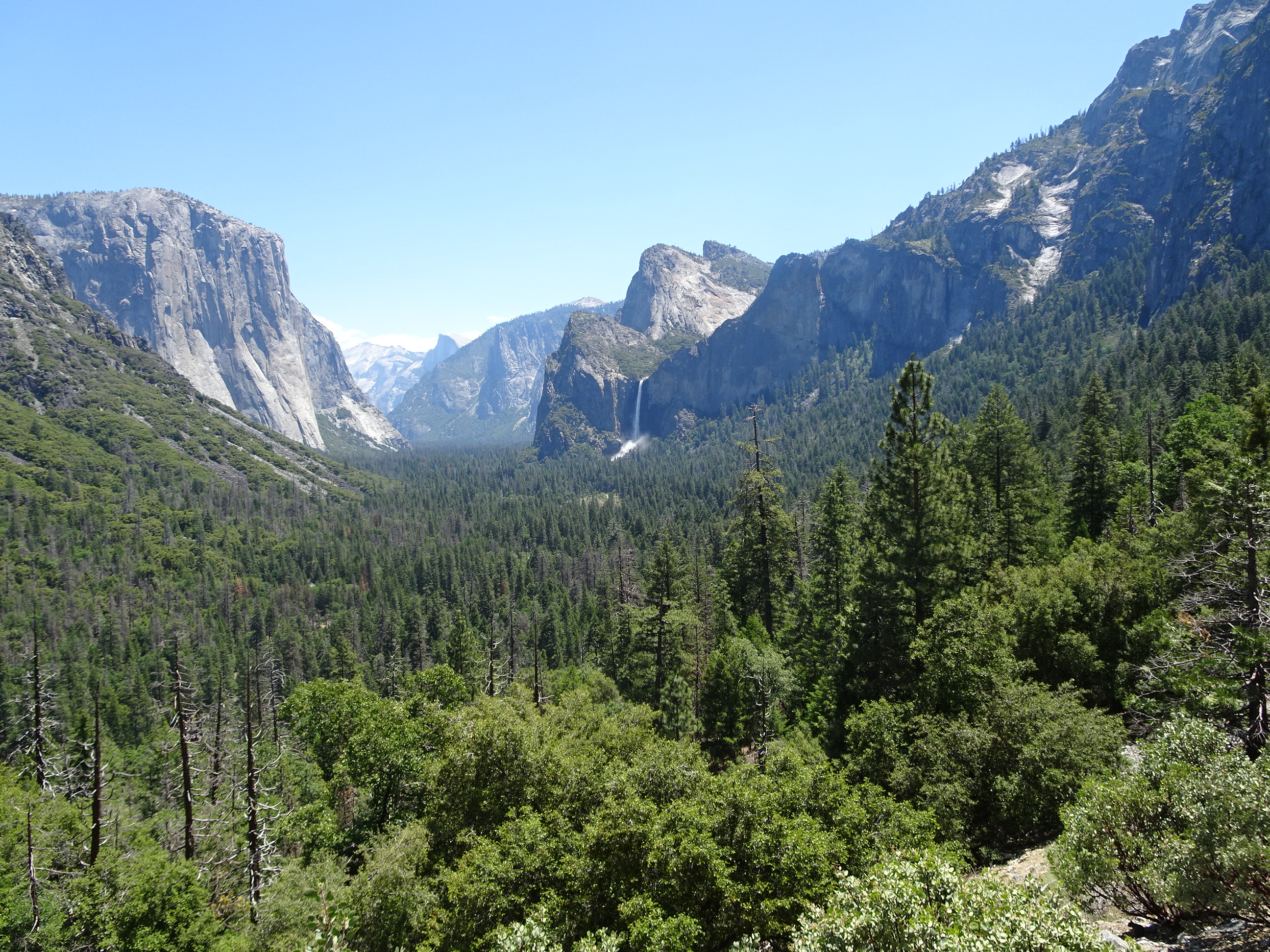 Sinary：環境革命のシナリー：シナリー株式会社