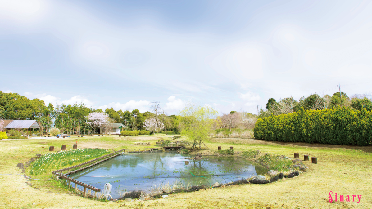 Sinary：環境革命のシナリー：シナリー株式会社