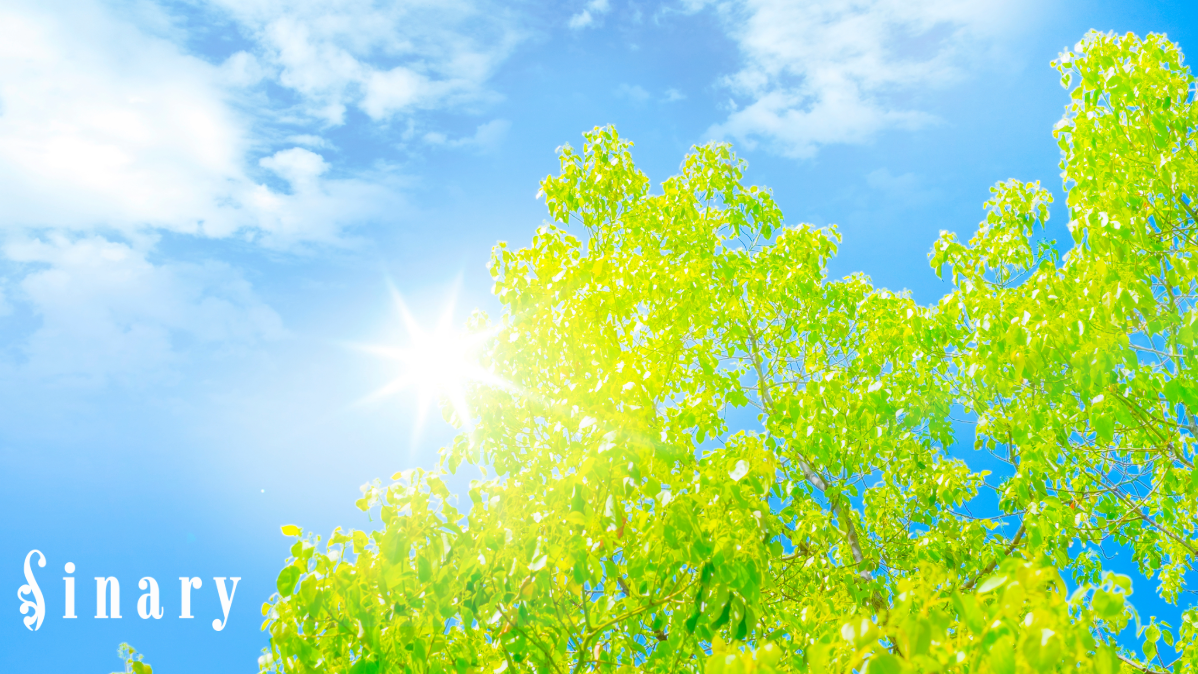 Sinary：環境革命のシナリー：シナリー株式会社