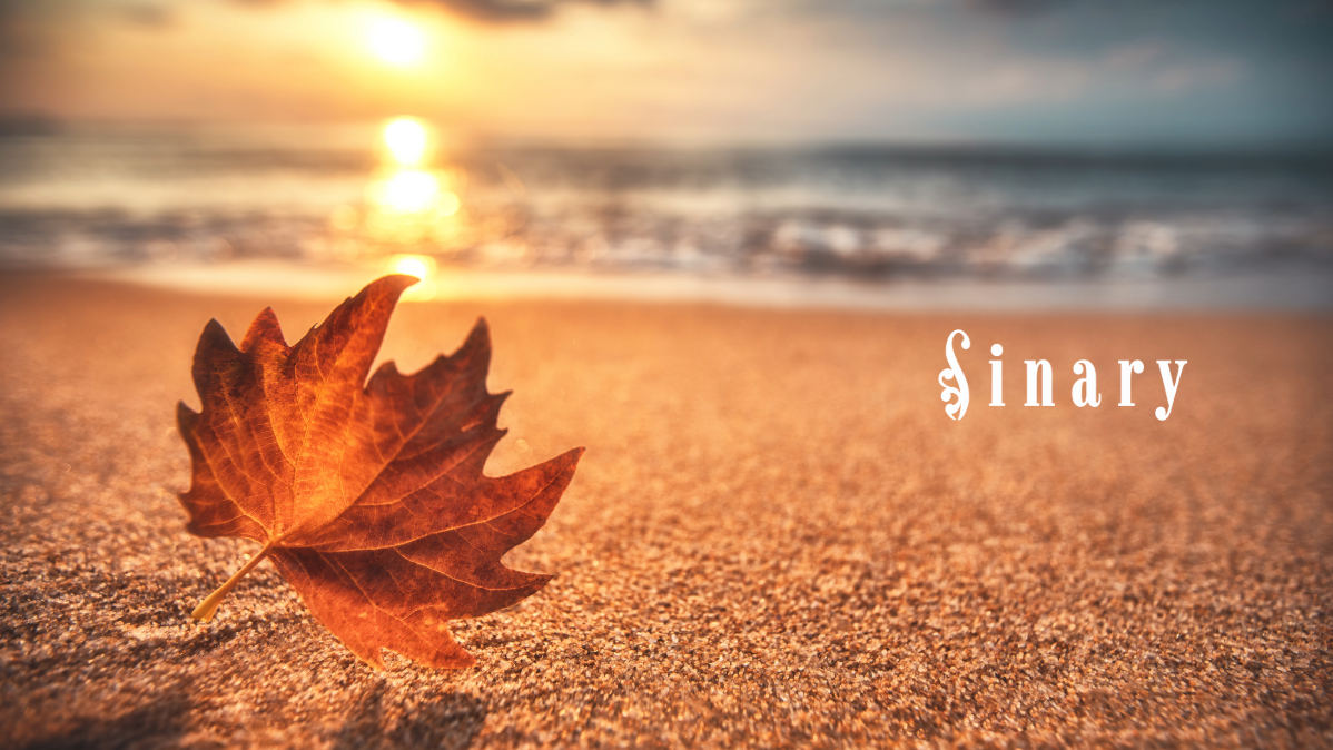 Sinary：環境革命のシナリー：シナリー株式会社