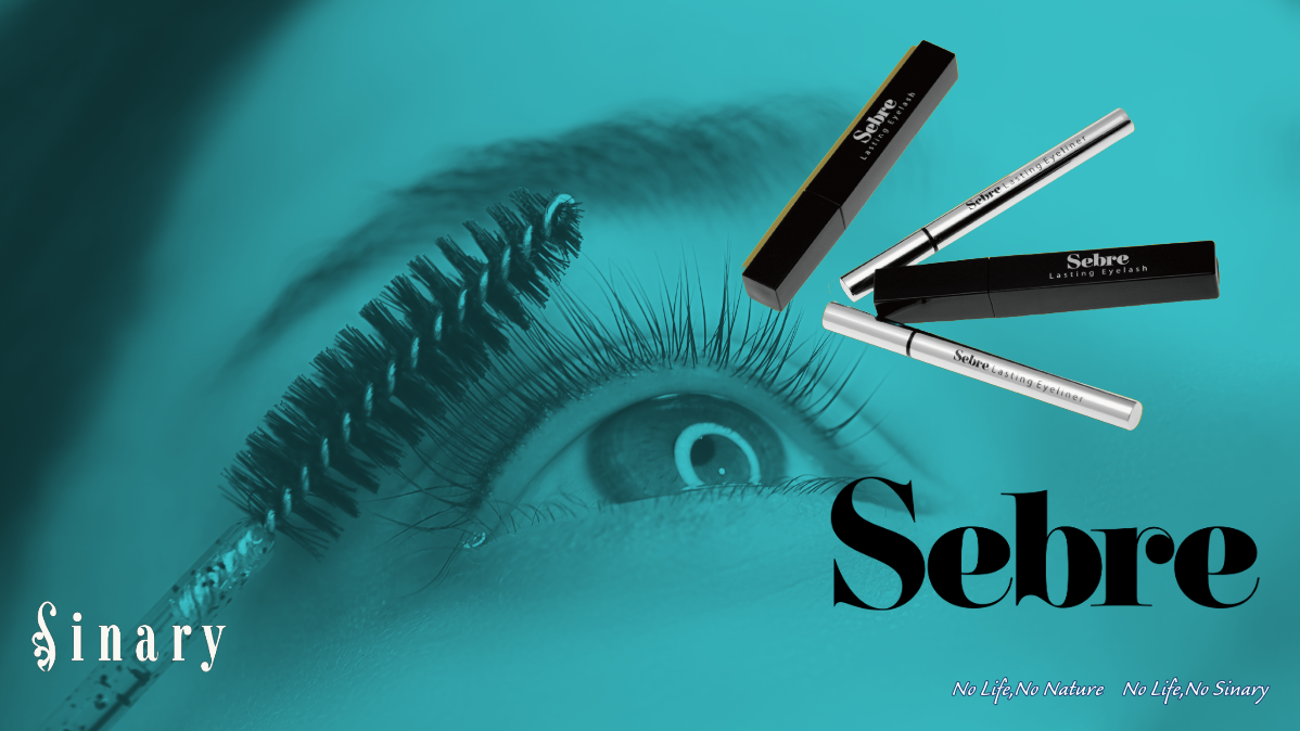 News | シナリー株式会社